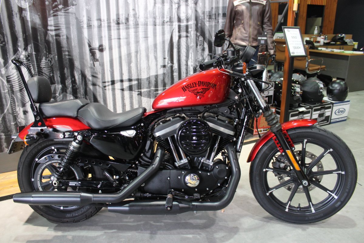 2018 Harley-Davidson XL883N Iron 883 For Sale in West Gosford | Central Coast Harley-Davidson®