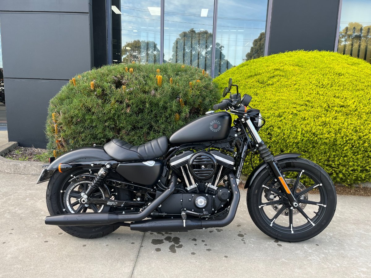 2019 Harley-Davidson XL883N Iron 883 For Sale in Dandenong Melbourne at TeamMoto Dandenong, VIC ...