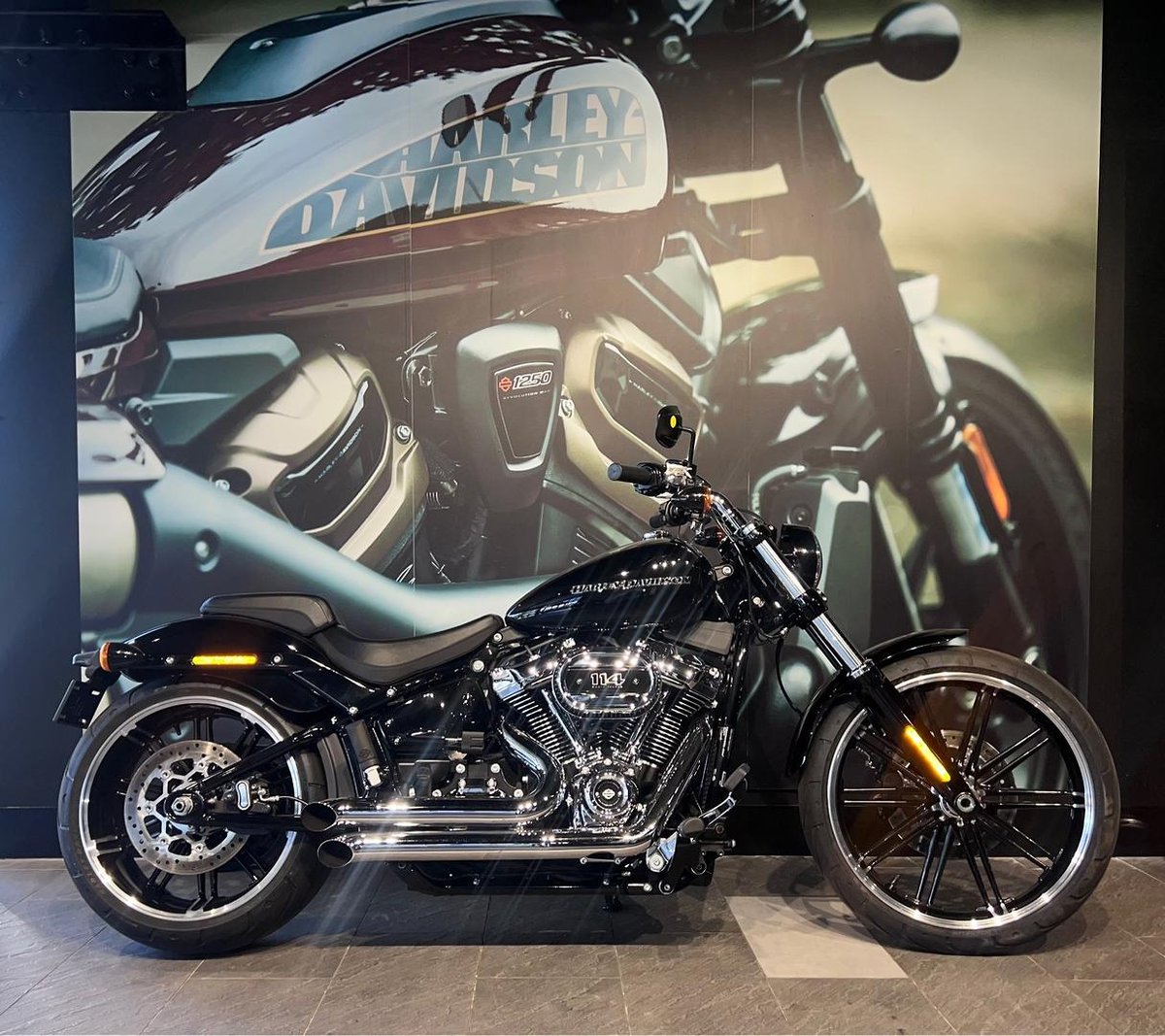 Breakout Harley 2022