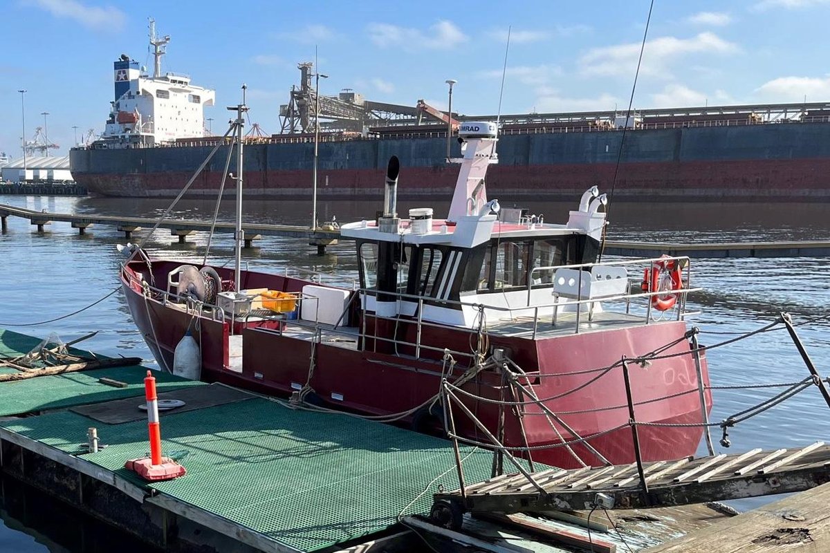 2019 Commercial Fishing Boat For Sale in Rippleside - Oakley Shipping